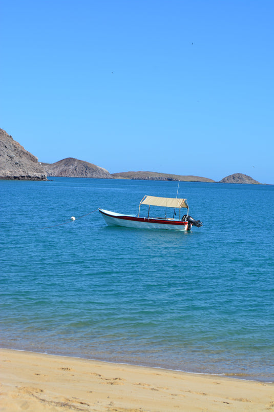 Fishing – Baja Experience Tours